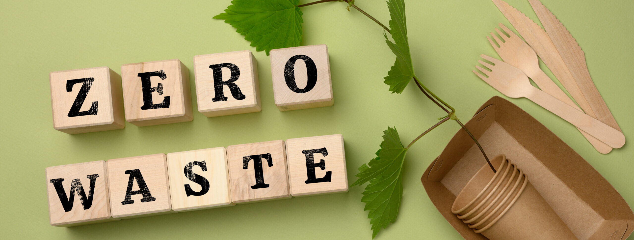 About Us – Eco Safe Food Packaging